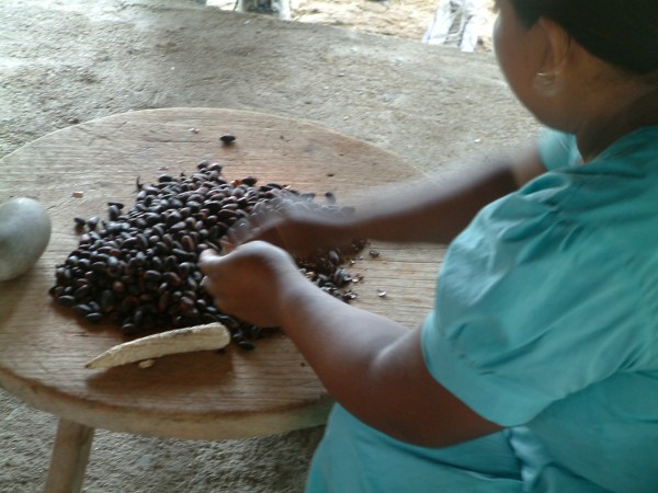 Traditional Mayan chocolate drink | Kitchen Report